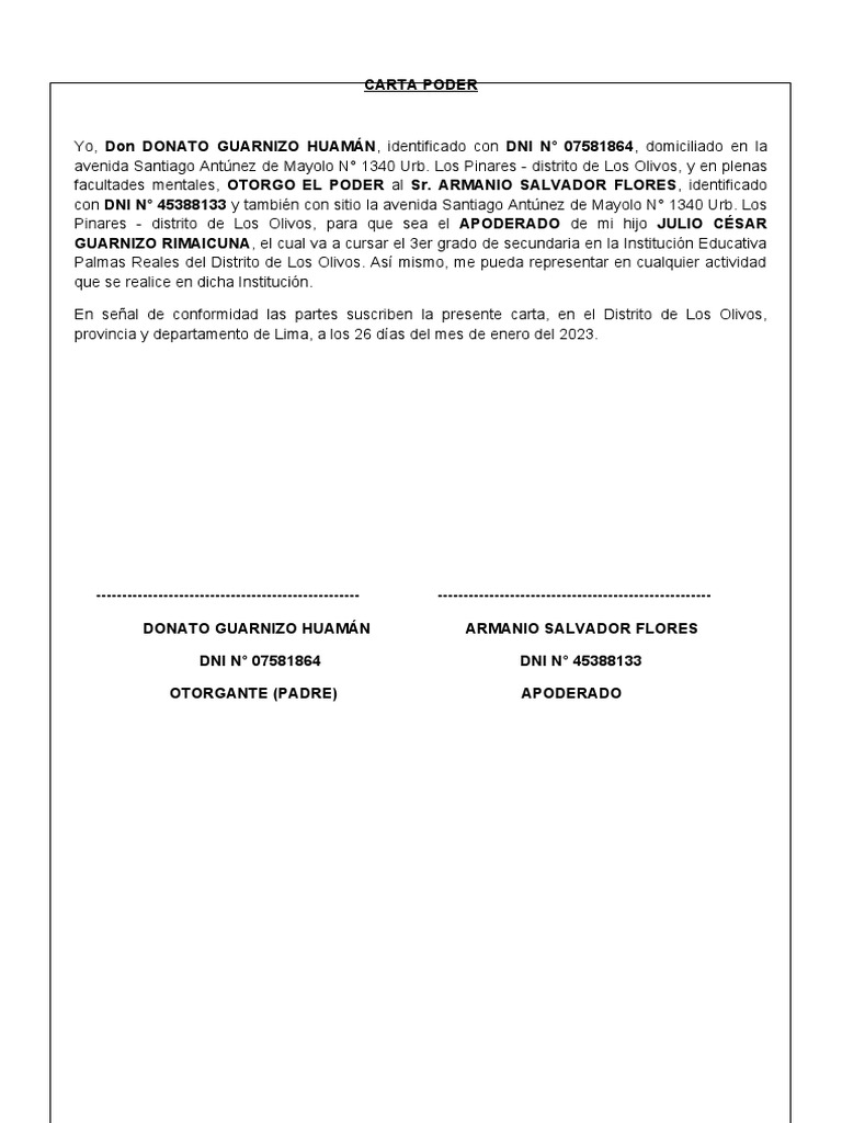 Carta Poder Simple | PDF
