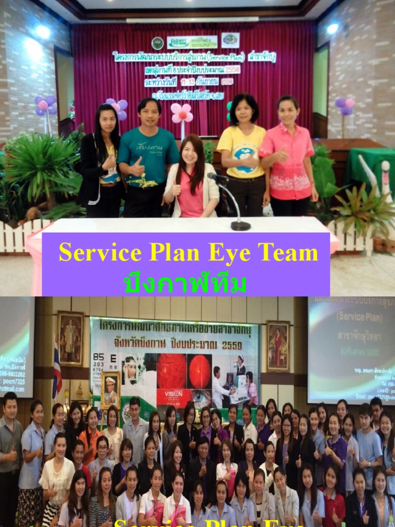 Service Plan Eye Team | PDF
