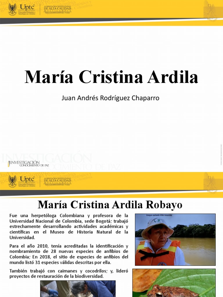 Exposición María Cristina Ardila | PDF