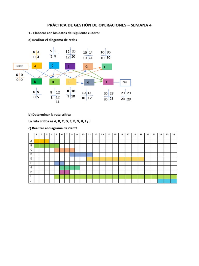 Práctica de Gestión de Operaciones - Flores Rosales | PDF