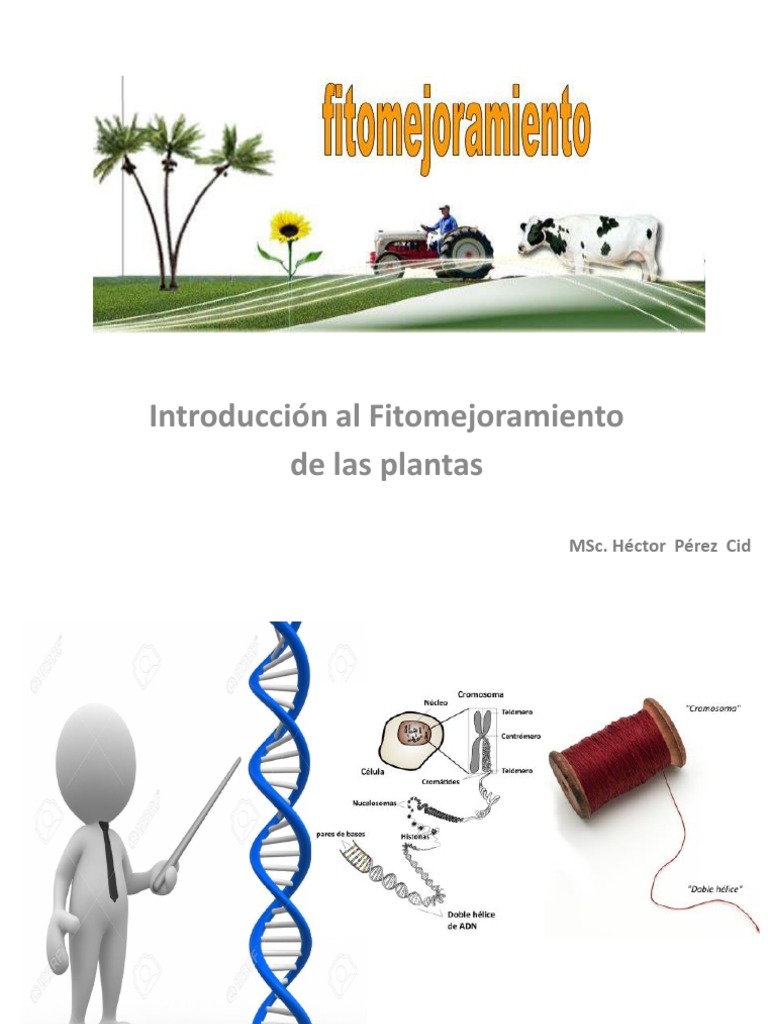 FITOMEJORAMIENTO Introductoria 1 | PDF | Fitomejoramiento | Adn