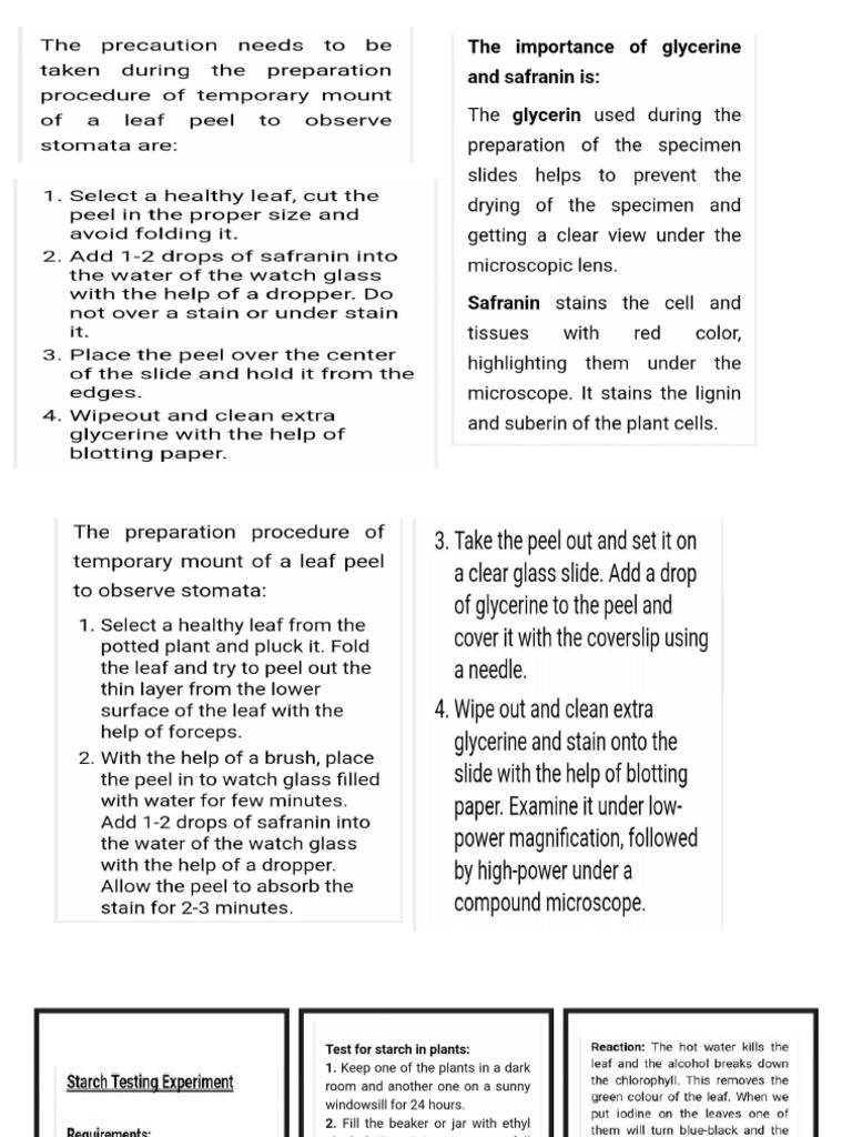 Bio Practicals | PDF