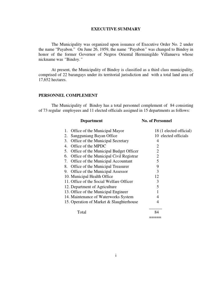 Bindoy Executive Summary 2013 | PDF | Audit | Credit Card