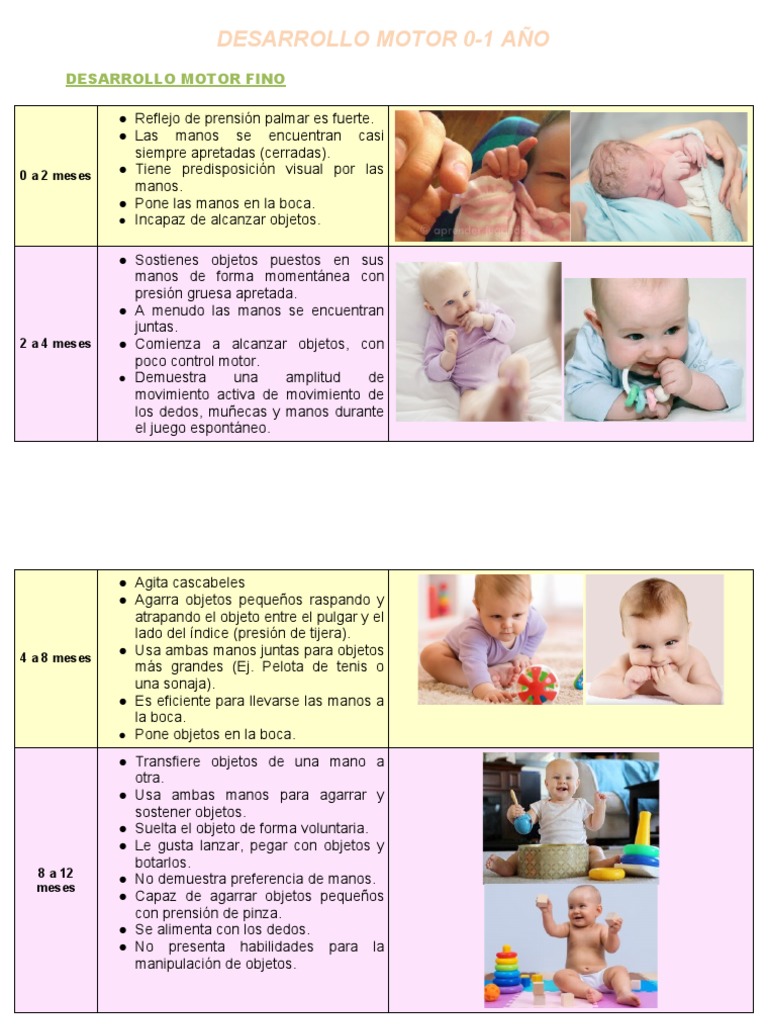 Desarrollo Motor Grueso y Fino de 0-1 | PDF | Mano
