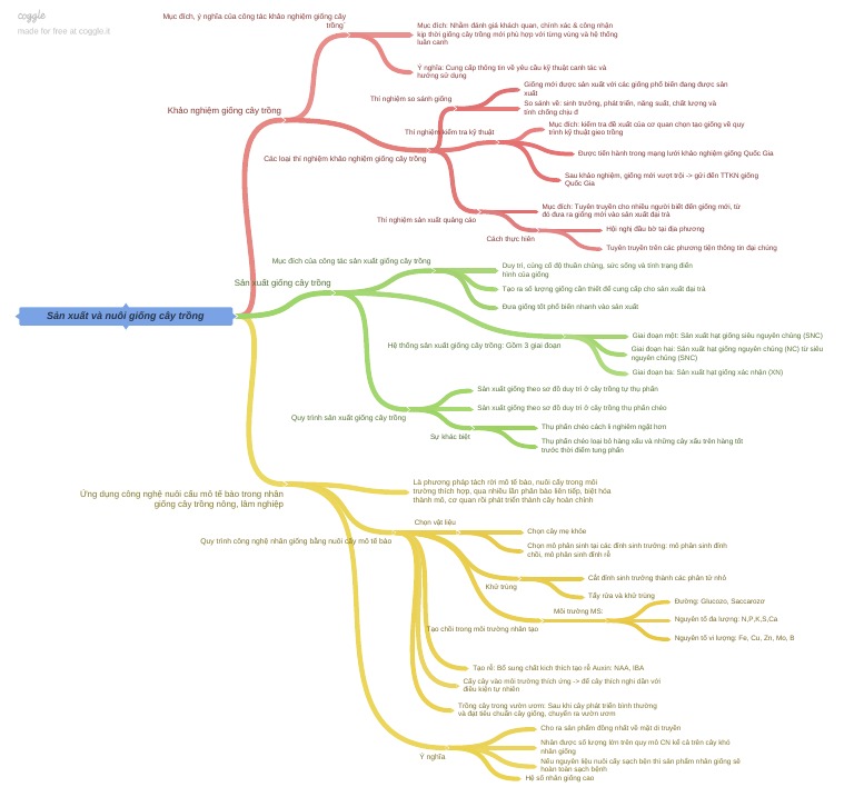 Mindmap CN | PDF