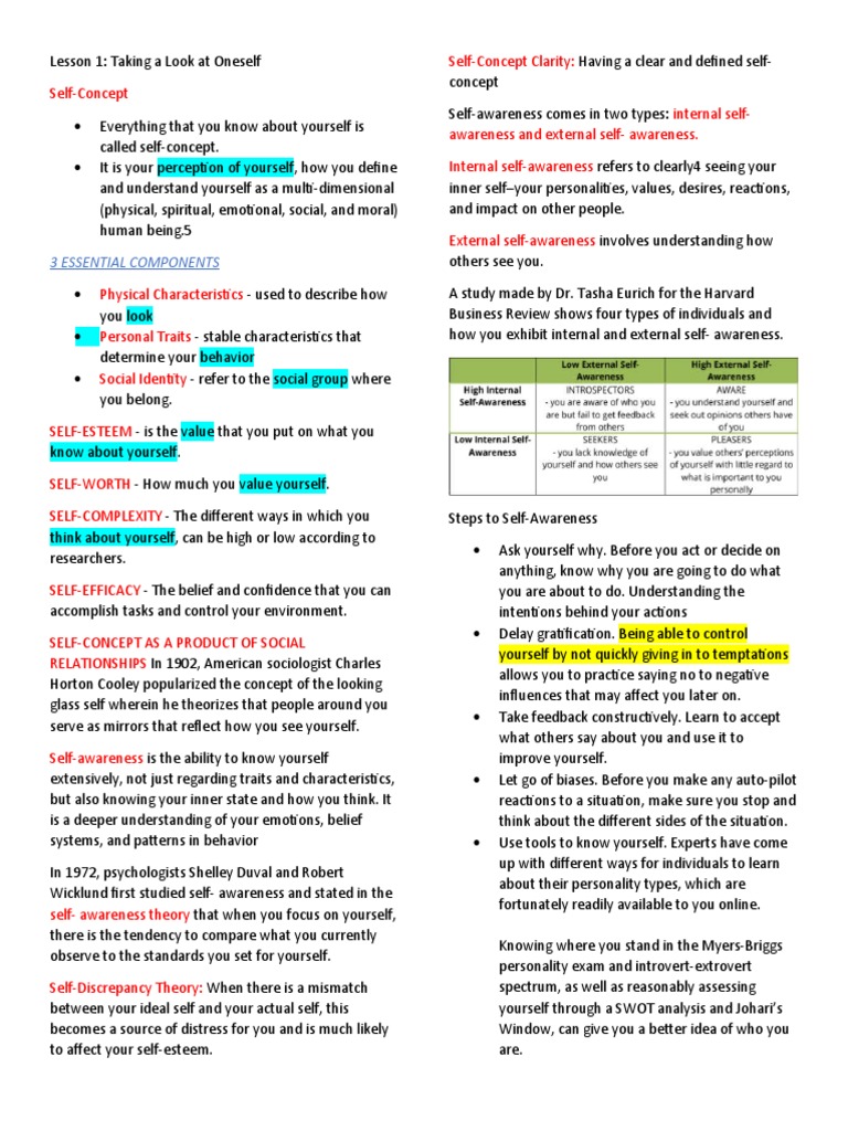 Taking A Look at Oneself | PDF | Self Awareness | Self Esteem