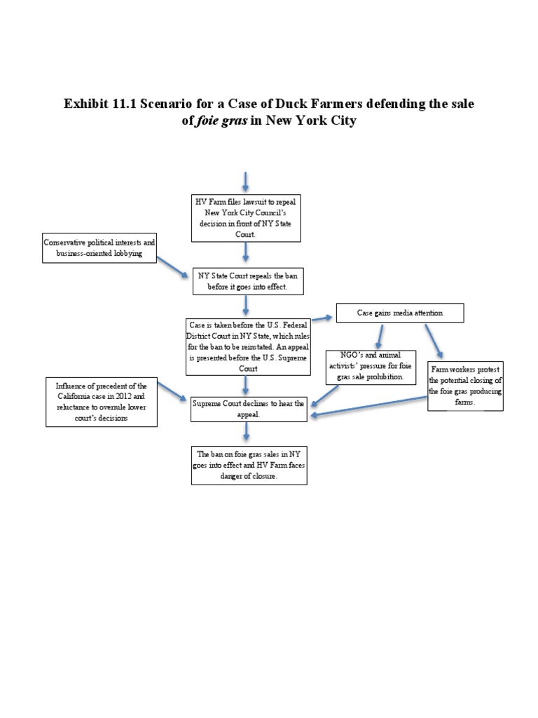 Exhibit 11.1 Example of A Scenario | PDF