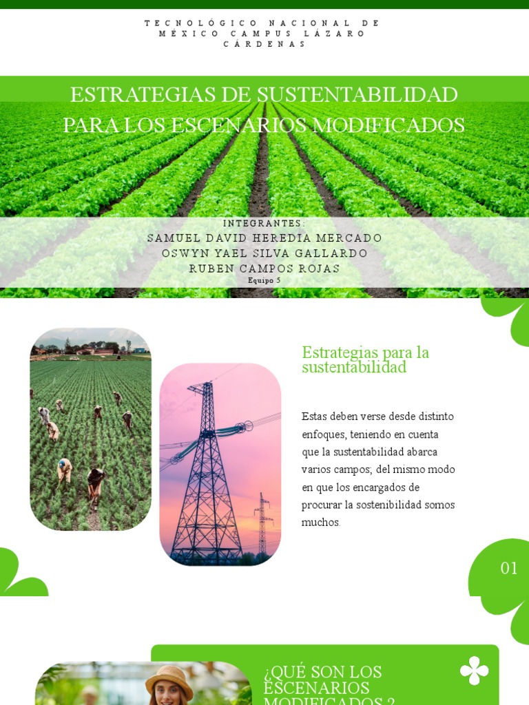 Estrategias de Sustentabilidad para Los Escenarios Modificados | PDF | Sustentabilidad | Entorno ...