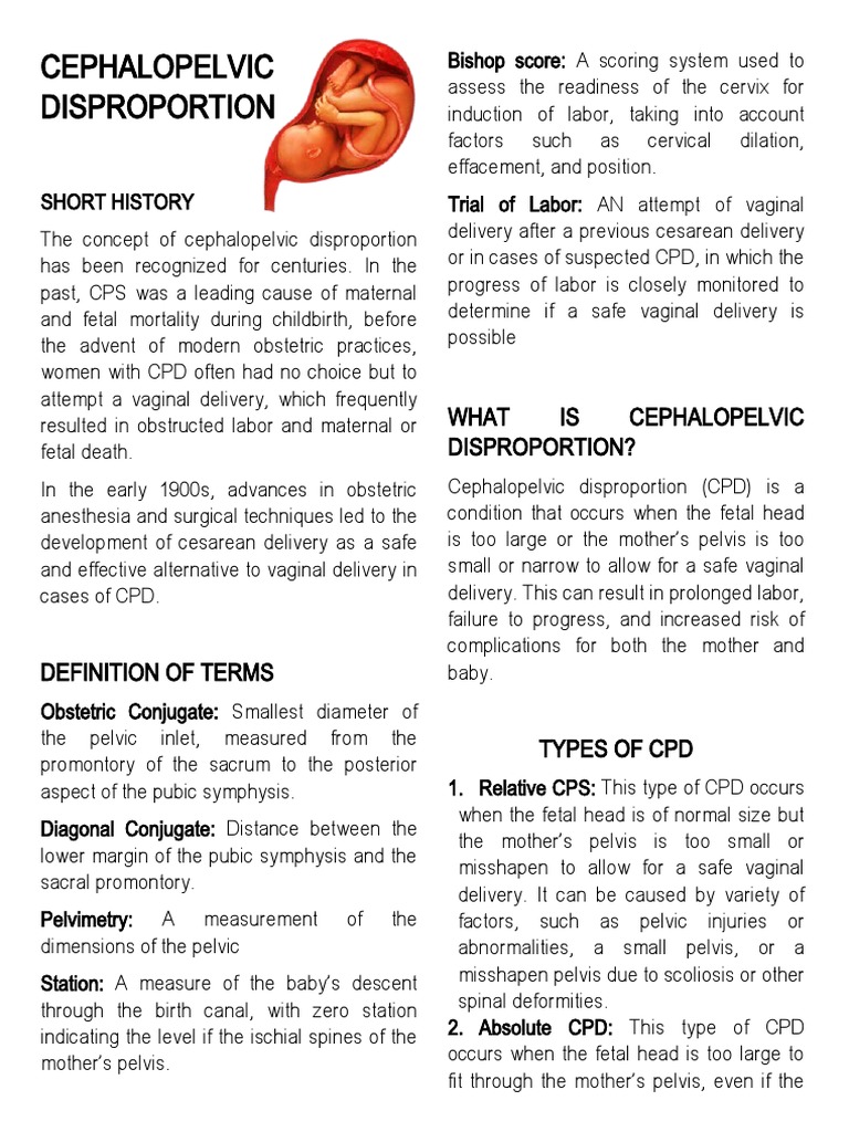 Cephalopelvic Disproportion | PDF | Childbirth | Pelvis