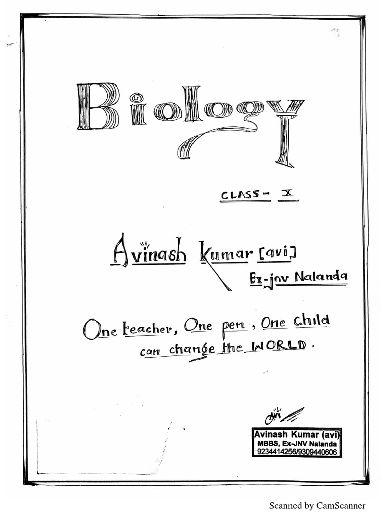 1.LIFE PROCESS Mobius Summer Camp | PDF