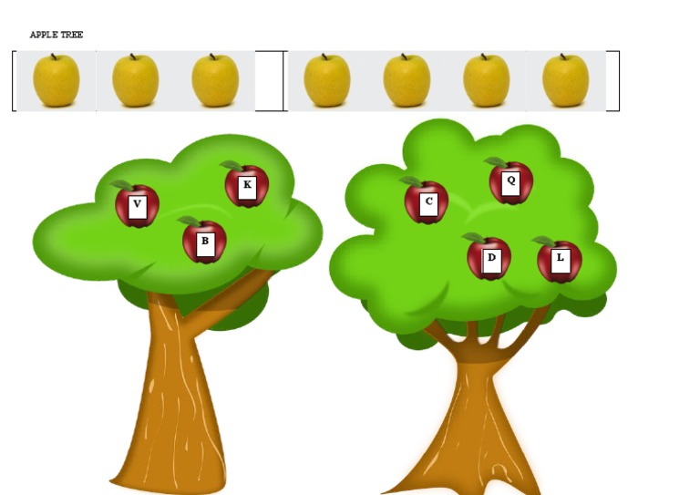 Apple Tree Diagram and Structure | PDF