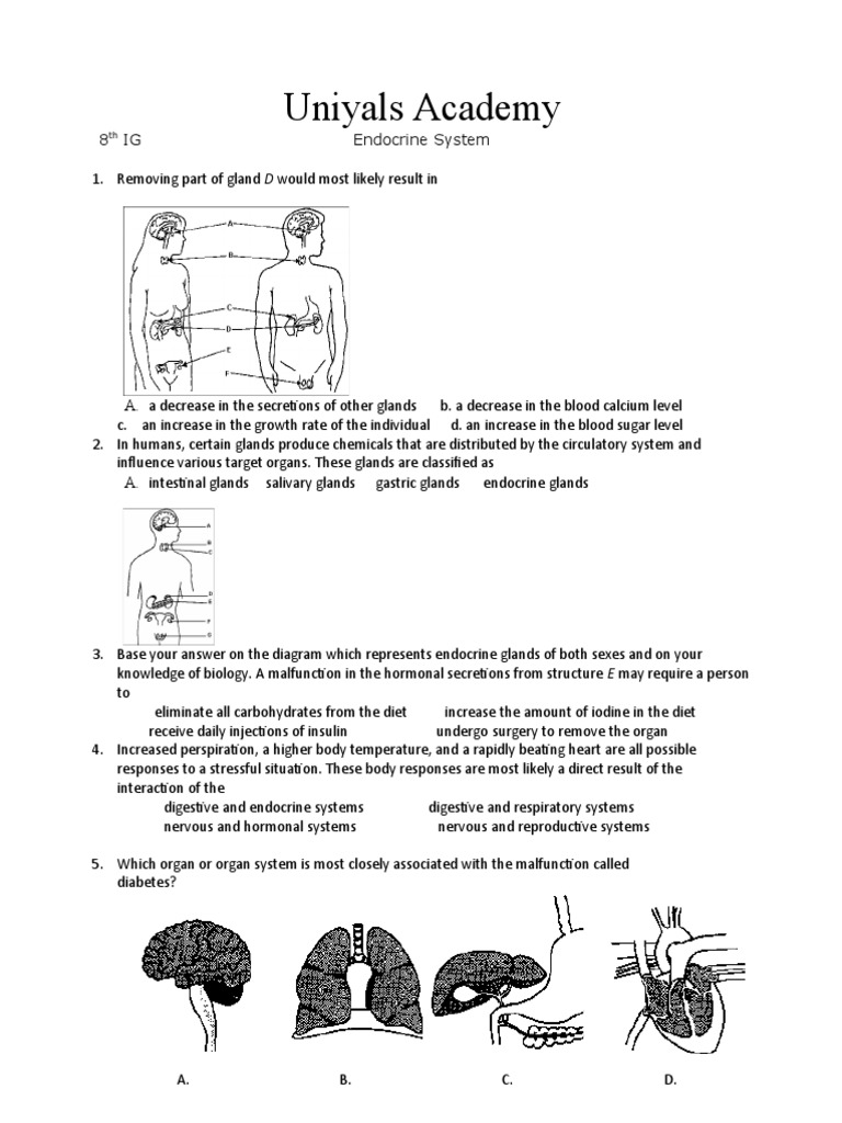 Practice Questions 1 Endocrine | PDF | Hormone | Cell (Biology)