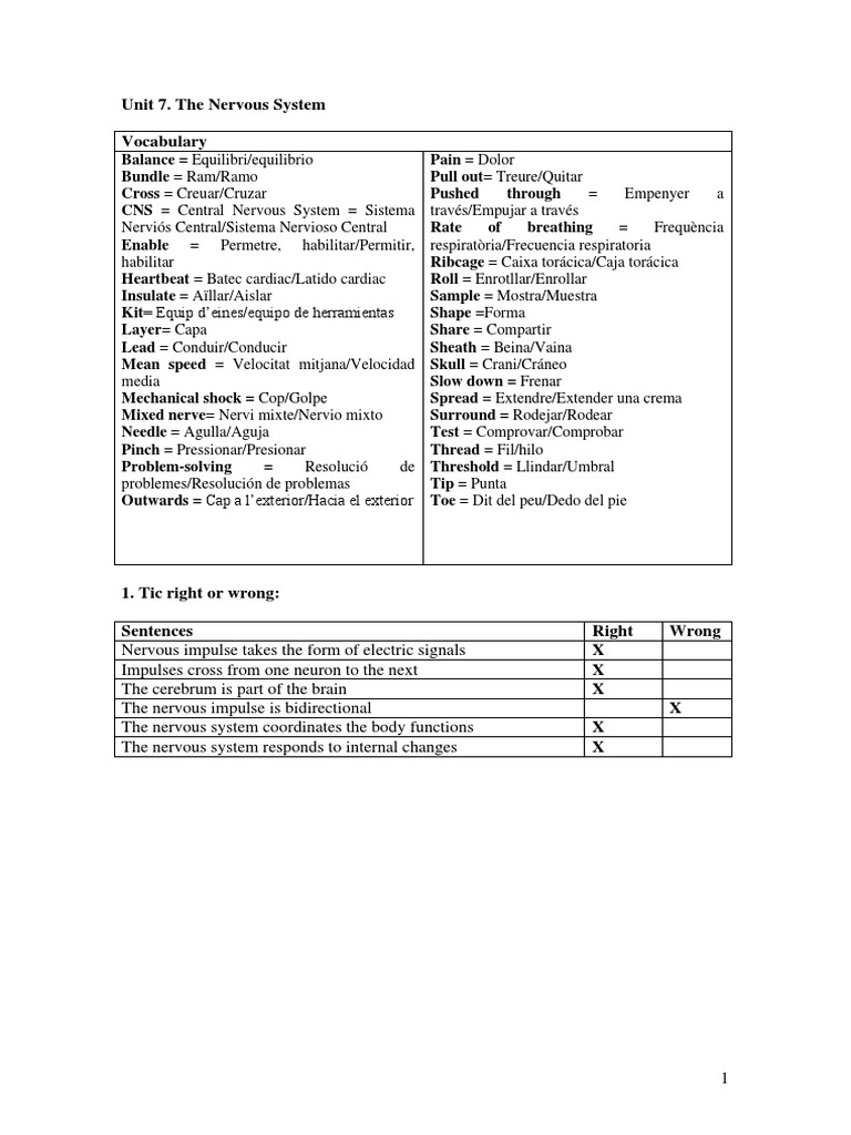 Unit 7. The Nervous System | PDF