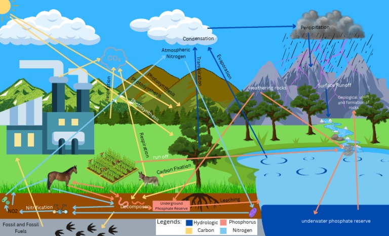 Biogeochemical Cycles | PDF | Chemical Elements | Nature