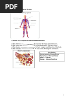 Blood and Circulation, iGCSE Biology | PDF | Circulatory System ...