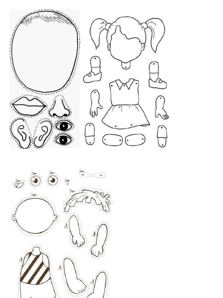 Cuerpo Humano Para Armar Pdf