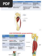 Cours Douleur Physiologie de La Douleur 2021 | PDF | Douleur | Sérotonine