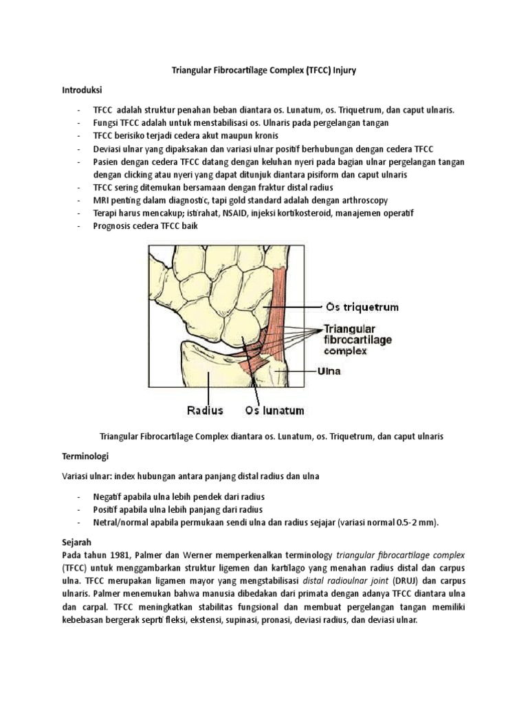 Triangular Fibrocartilage Complex (TFCC) Injury Introduksi | PDF
