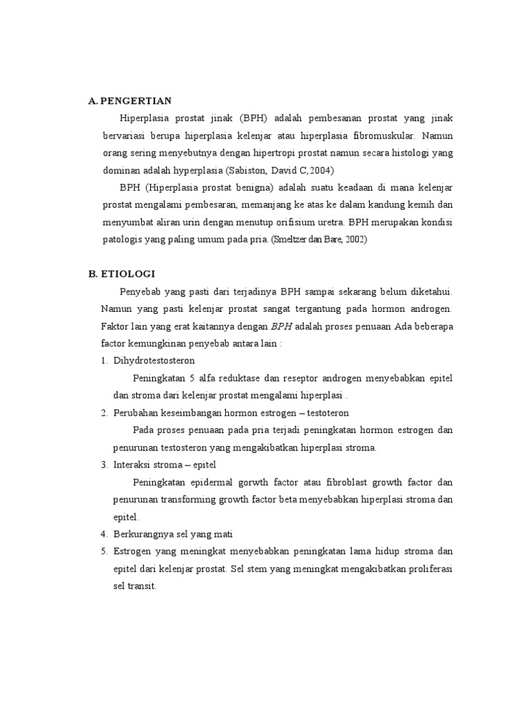 Lp Bph Rahmah Pdf