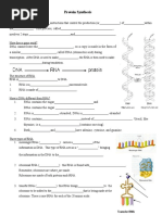 Protein Synthesis Race Worksheet | PDF | Translation (Biology ...