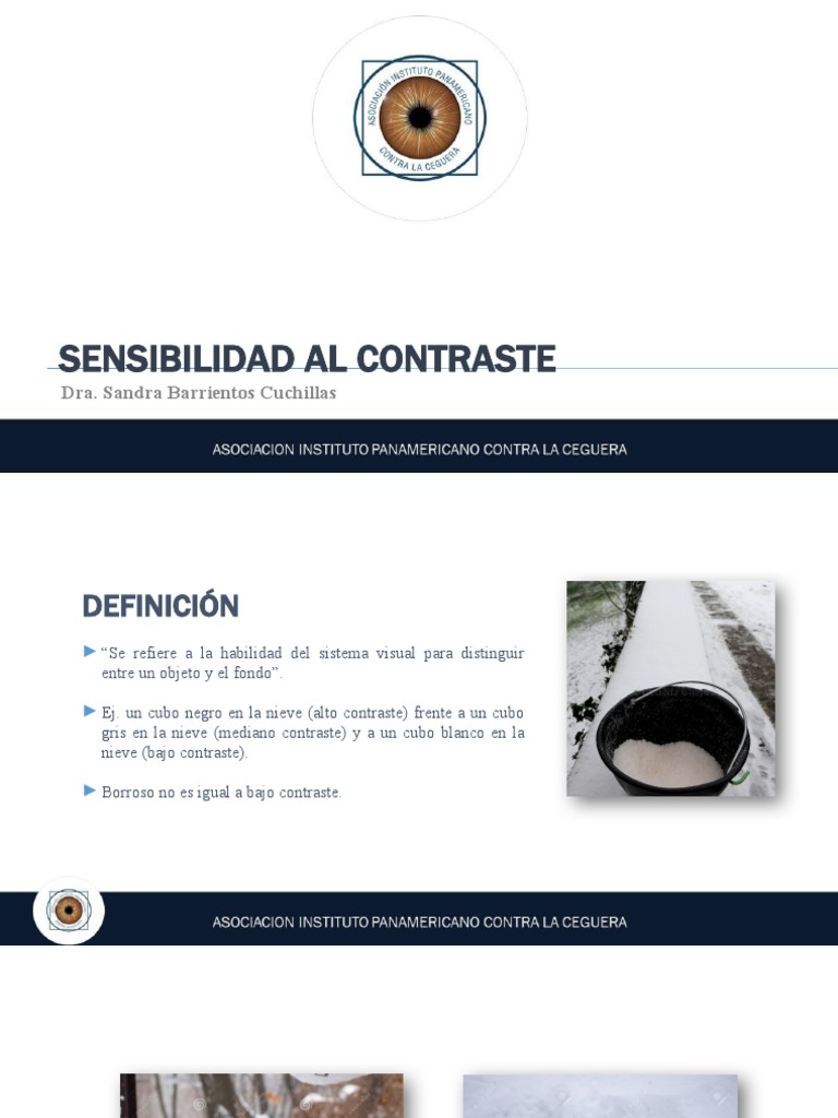 Sensibilidad al Contraste Visual: Definición y Aplicaciones | PDF ...