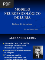Unidades Funcionales de Luria en Neuropsicología | PDF | Cerebro ...