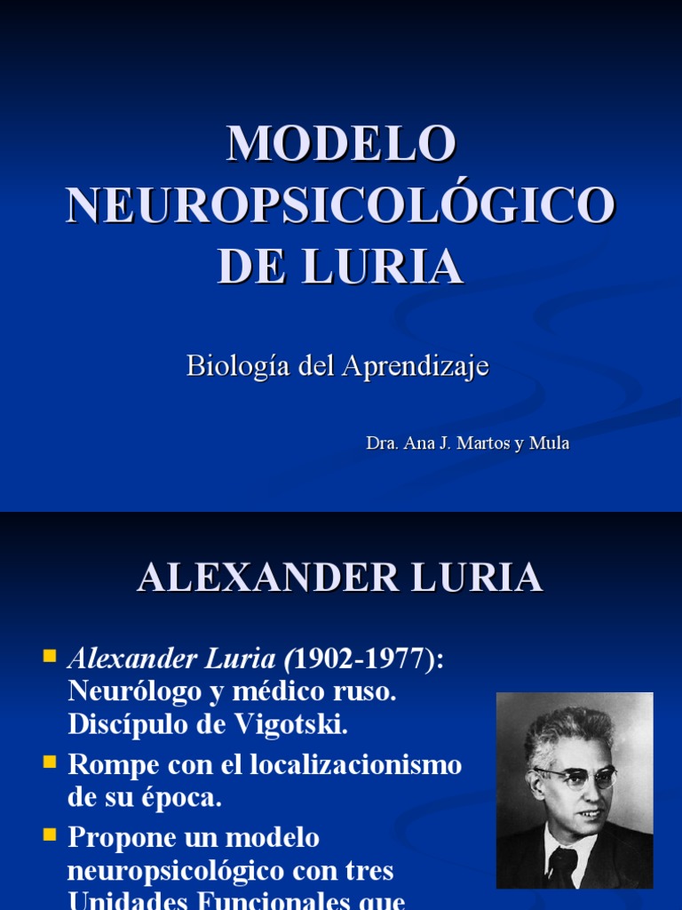 Modelo Neuropsicológico de Luria | PDF