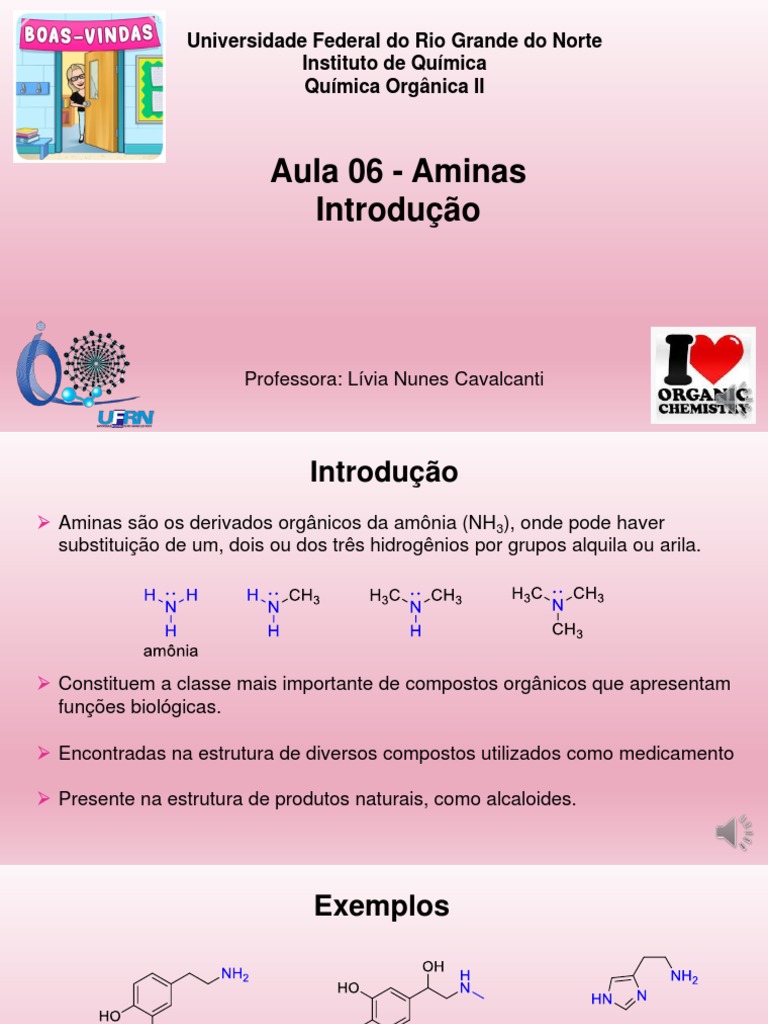 Aula 06 Aminas Introducao | PDF | Amina | Química