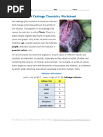 Red Cabbage pH Indicator Experiment | PDF | Ph | Chemistry