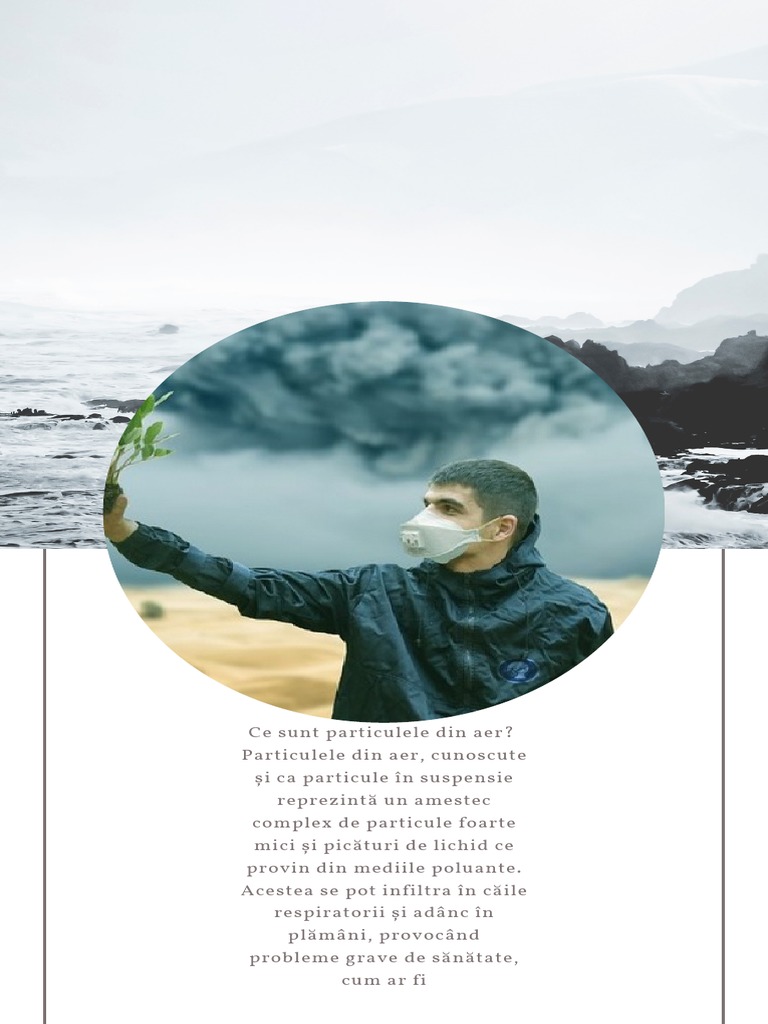 Calitatea Aerului | PDF