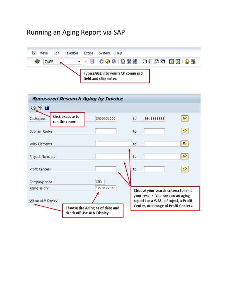 Sa Sap Aging Report Pdf