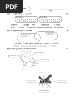 Környezetismeret Felmérő Feladatlapok 3. Osztály Megoldókulcs | PDF