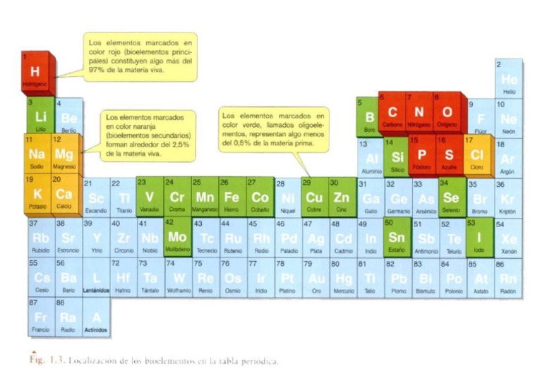 Tabla Periodica Con Biolementos y Oligoelementos | PDF