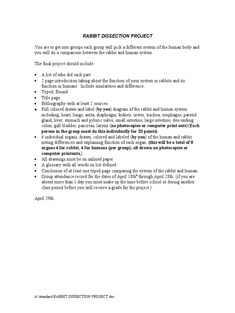 Rabbit Dissection Project | PDF