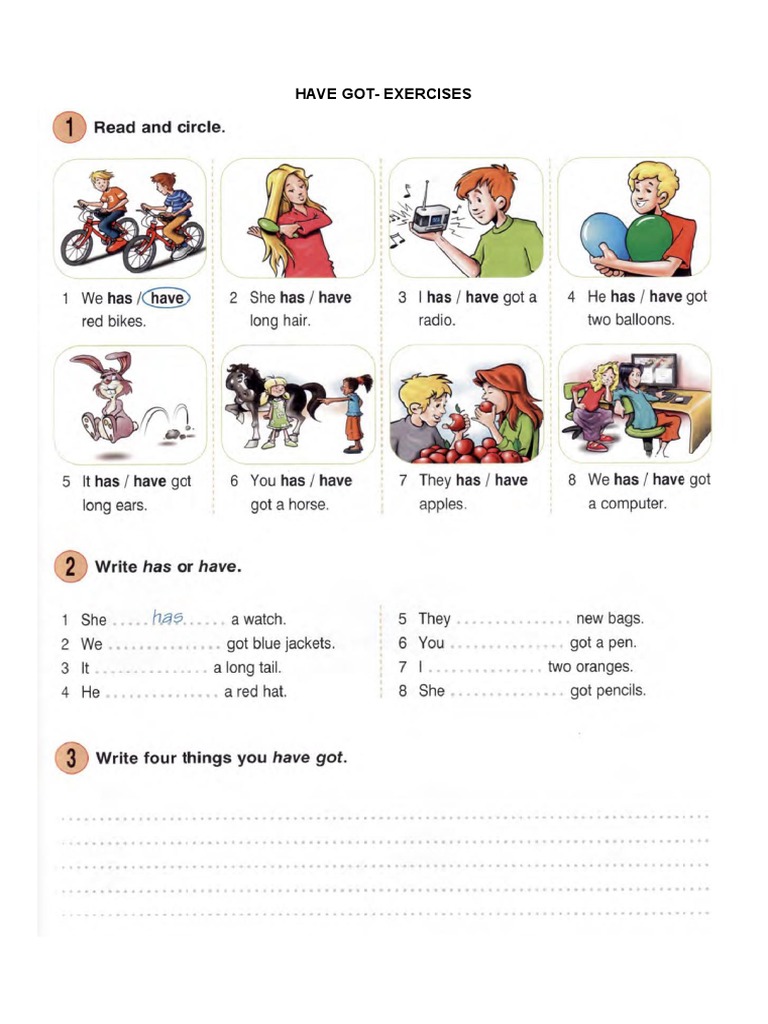 Have Got - Exercises | PDF