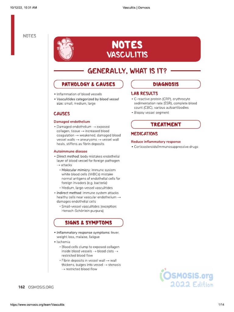 Vasculitis Pdf