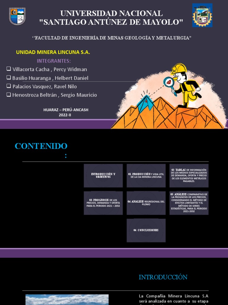 FPM - Cia Minera Lincuna S.A | PDF