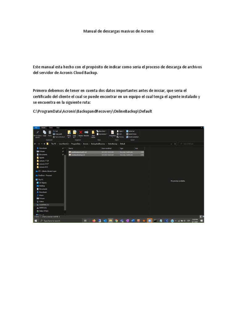 Manual de Descargas Masivas de Acronis | PDF | Archivo de computadora | Apoyo