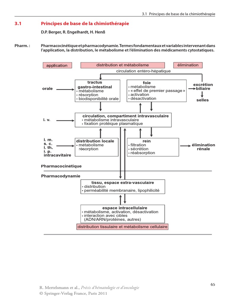 Tratamento Com Citostático, HT, Citocinas | PDF | Cancer | Médecine ...