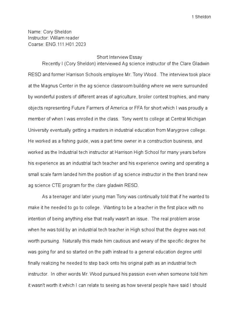 Short Interview Essay | PDF