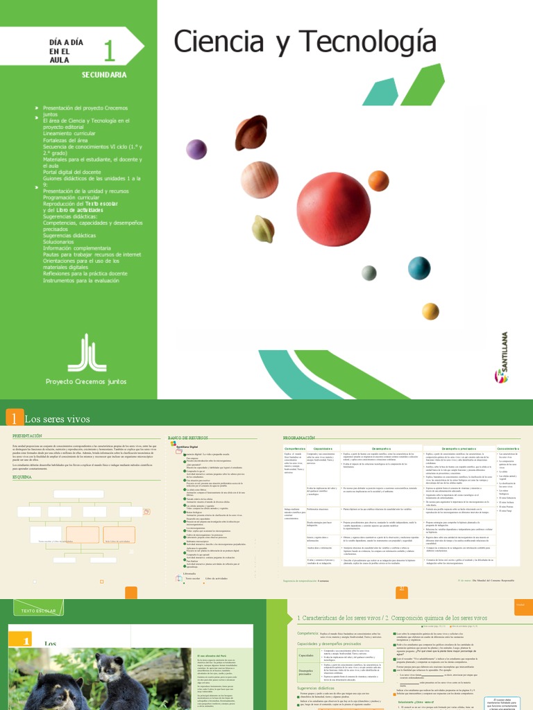 Ciencia y Tecnología: Secundaria | PDF
