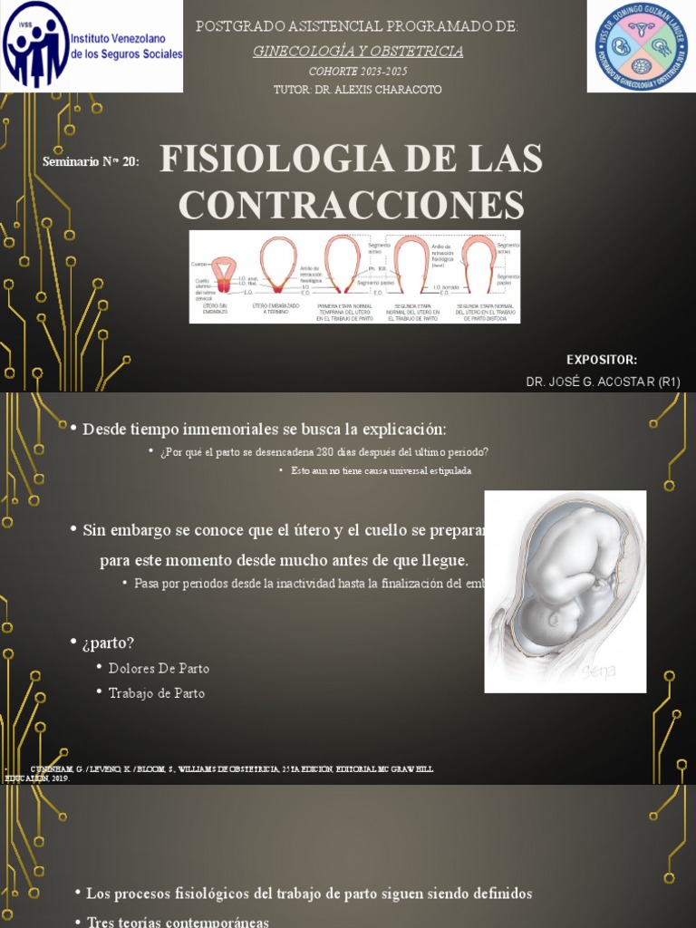 Fisiologia de Las Contracciones Uterinas | PDF | Parto | Contracción ...