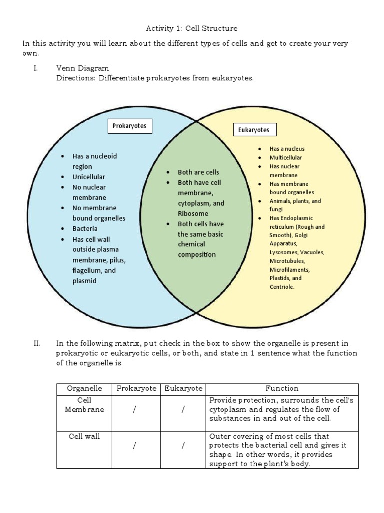 Cell Structure Activity | PDF | Cell (Biology) | Organelle