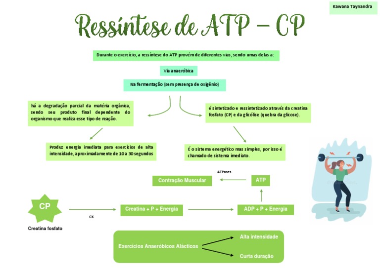 Ressíntese de ATP | PDF