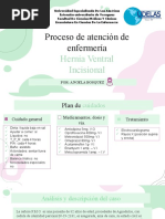 SESIÓN 11 Cuarta Fase PAE-ejecucion | PDF | Enfermería | Cuidado de la salud