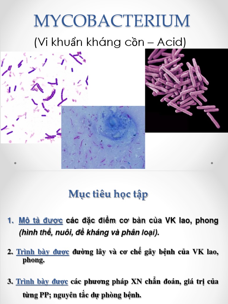Mycobacterium | PDF