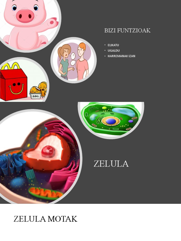 Zelula Bio-Geo 1.a 1 Ebaluazioa | PDF