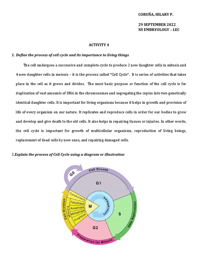 Explaining The Cell Cycle Process And Differentiating Between Mitosis