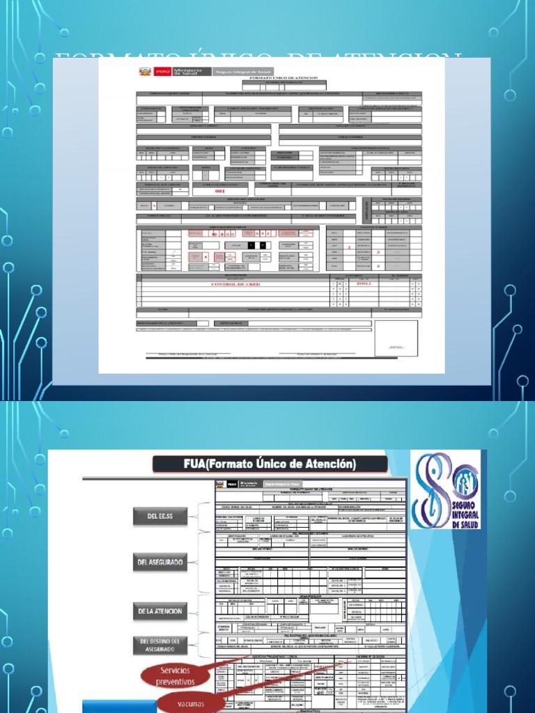Formato Unico de Atencion | PDF | Cuidado de la salud | Hospital