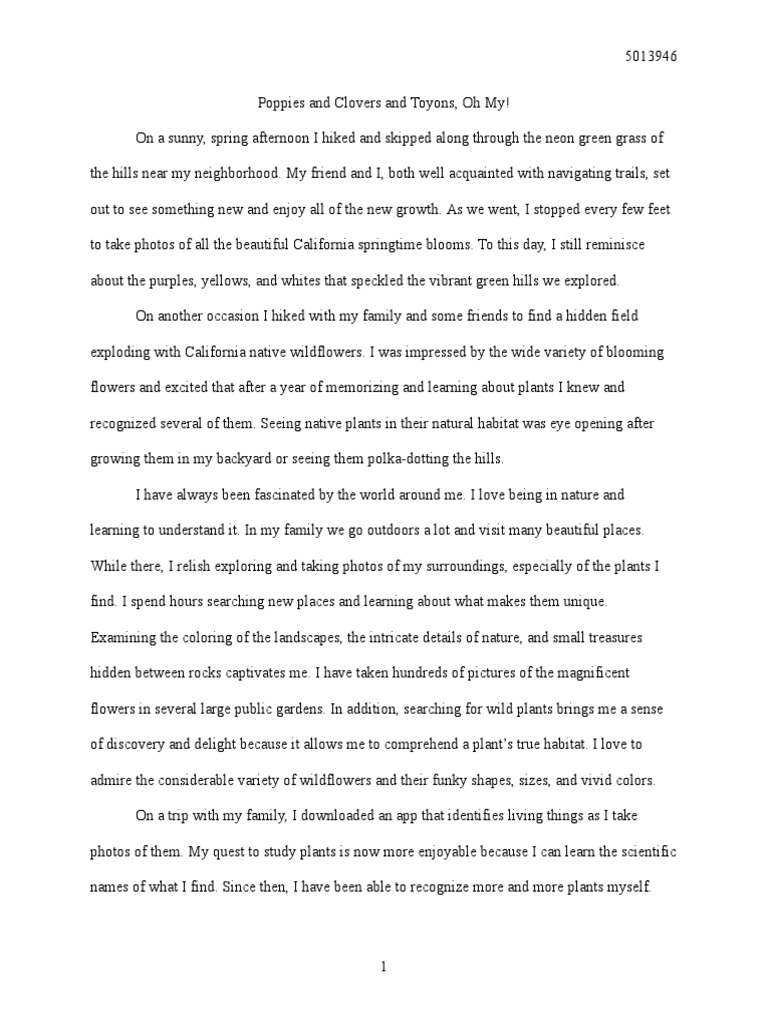 Alyssa Bradburn - Senior Project - Complete Perfect Beautiful Essay ...